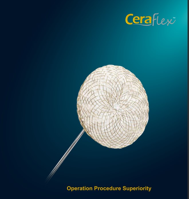 Ceraflex - ARLAB